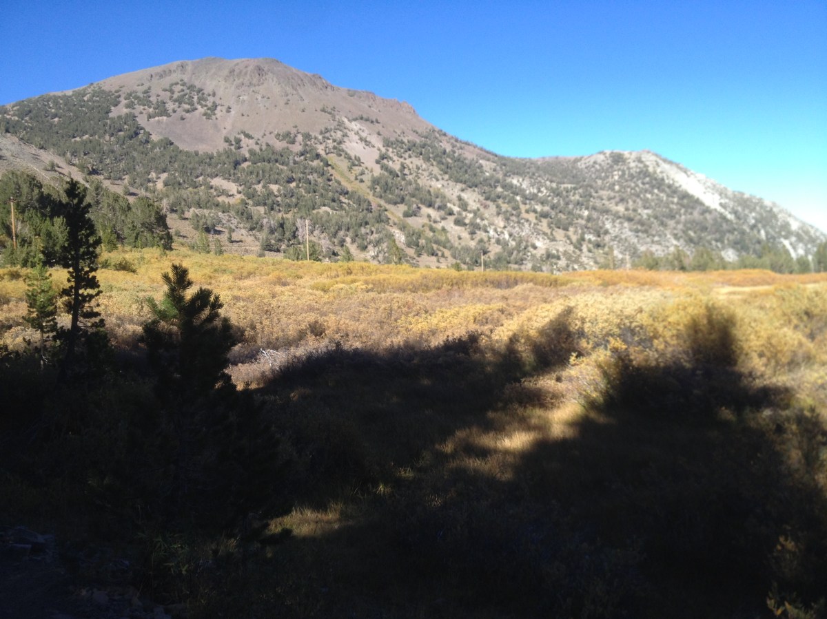 Hiking Mt. Rose Summit, North Lake Tahoe – Adventure Out There