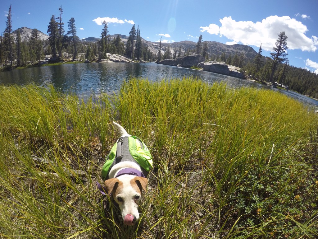 Backpacking: Velma Lakes, Desolation Wilderness – Adventure Out There
