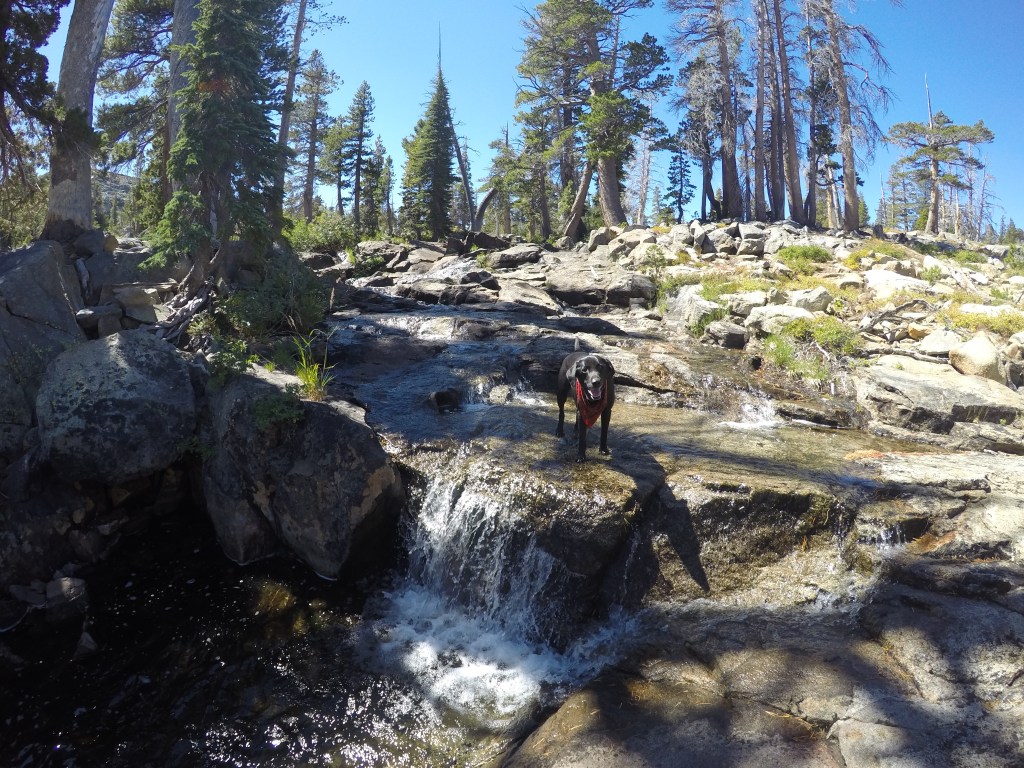 Backpacking: Velma Lakes, Desolation Wilderness – Adventure Out There