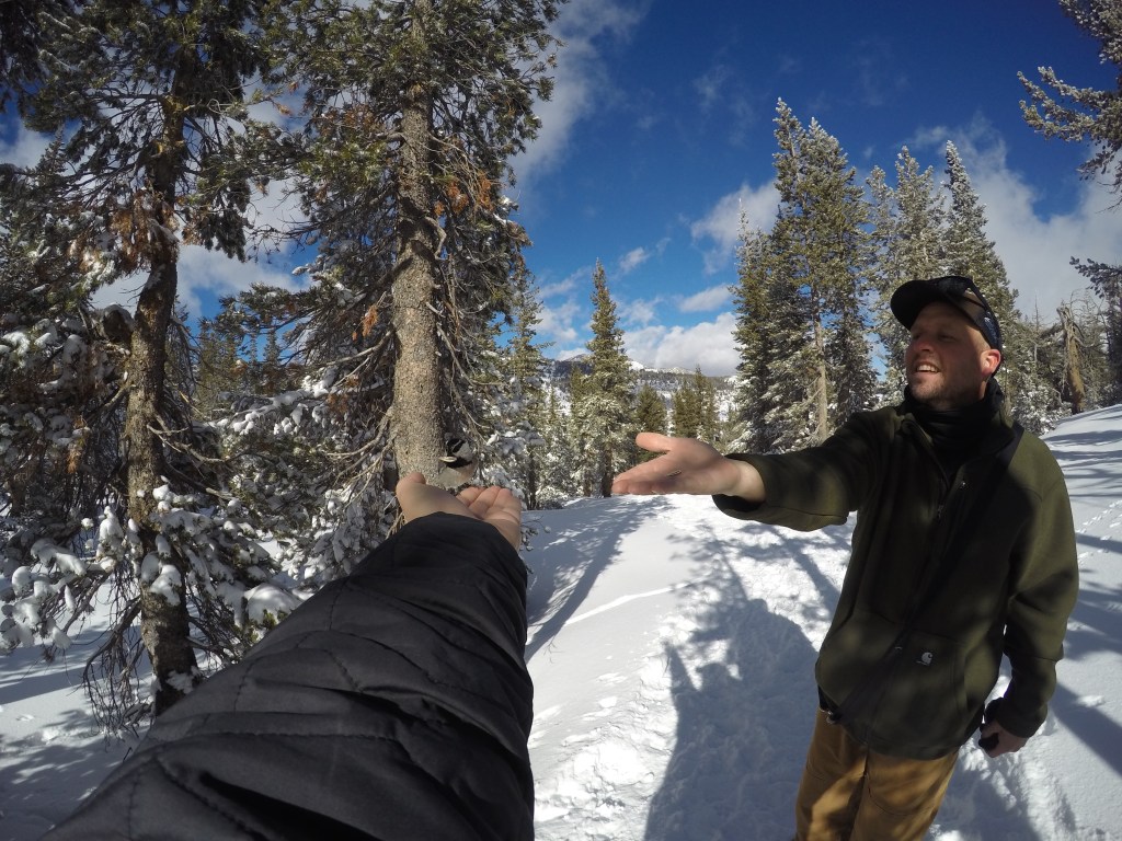 Hiking Chickadee Ridge, Lake Tahoe – Adventure Out There